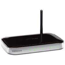NetGear WNR1000 Wireless Router