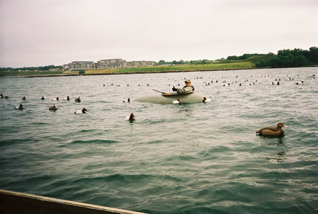 Longline Set for open water decoy rigs, longlines, gang rigs, duck ...