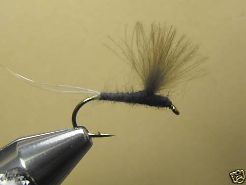 12 - CDC Emerger - Trout Wet Fly Assortment