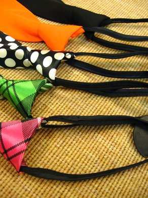 Assorted Zip Up Ties