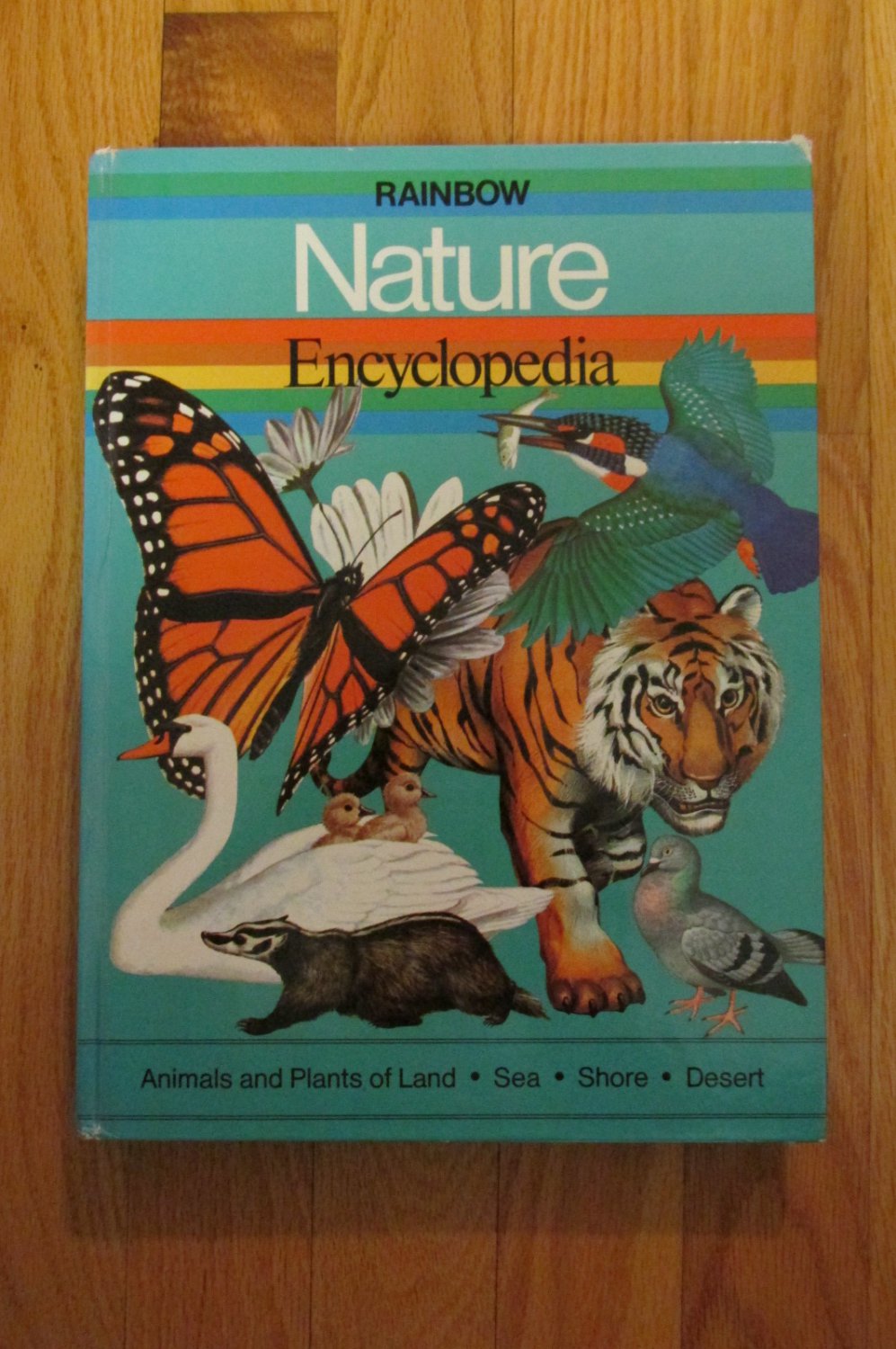 RAINBOW NATURE ENCYCLOPEDIA BOOK SCIENCE ANIMALS