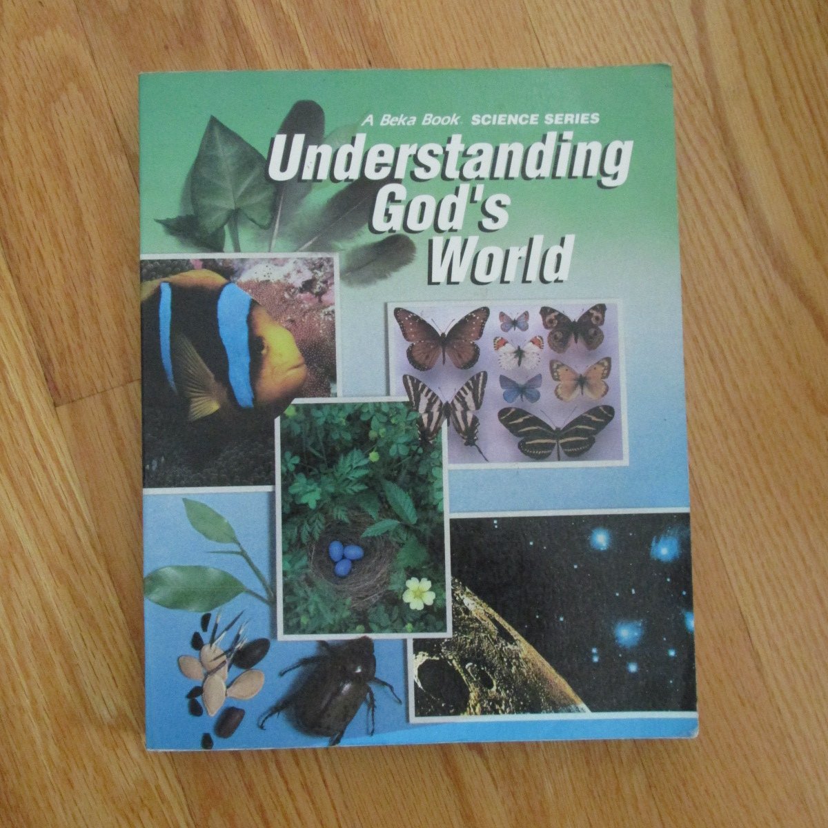 A BEKA UNDERSTANDING GOD'S WORLD BOOK HOMESCHOOL GRADE 4 SCIENCE ...