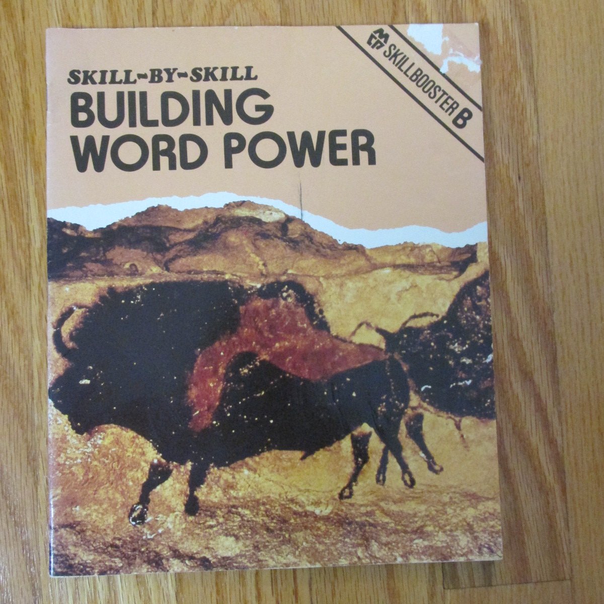 SKILLBOOSTER BOOK SKILL BY SKILL BUILDING WORD POWER LEVEL B MODERN ...