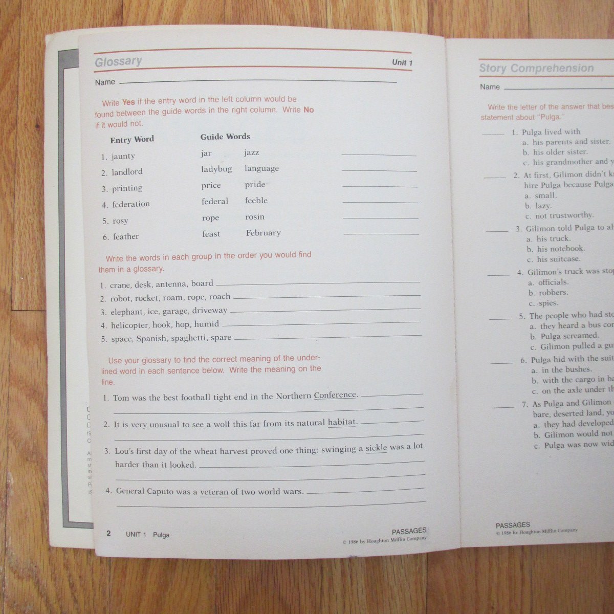 SKILLS BOOK PASSAGES GRADE 8 LANGUAGE ARTS HOUGHTON MIFFLIN 1986 NEW