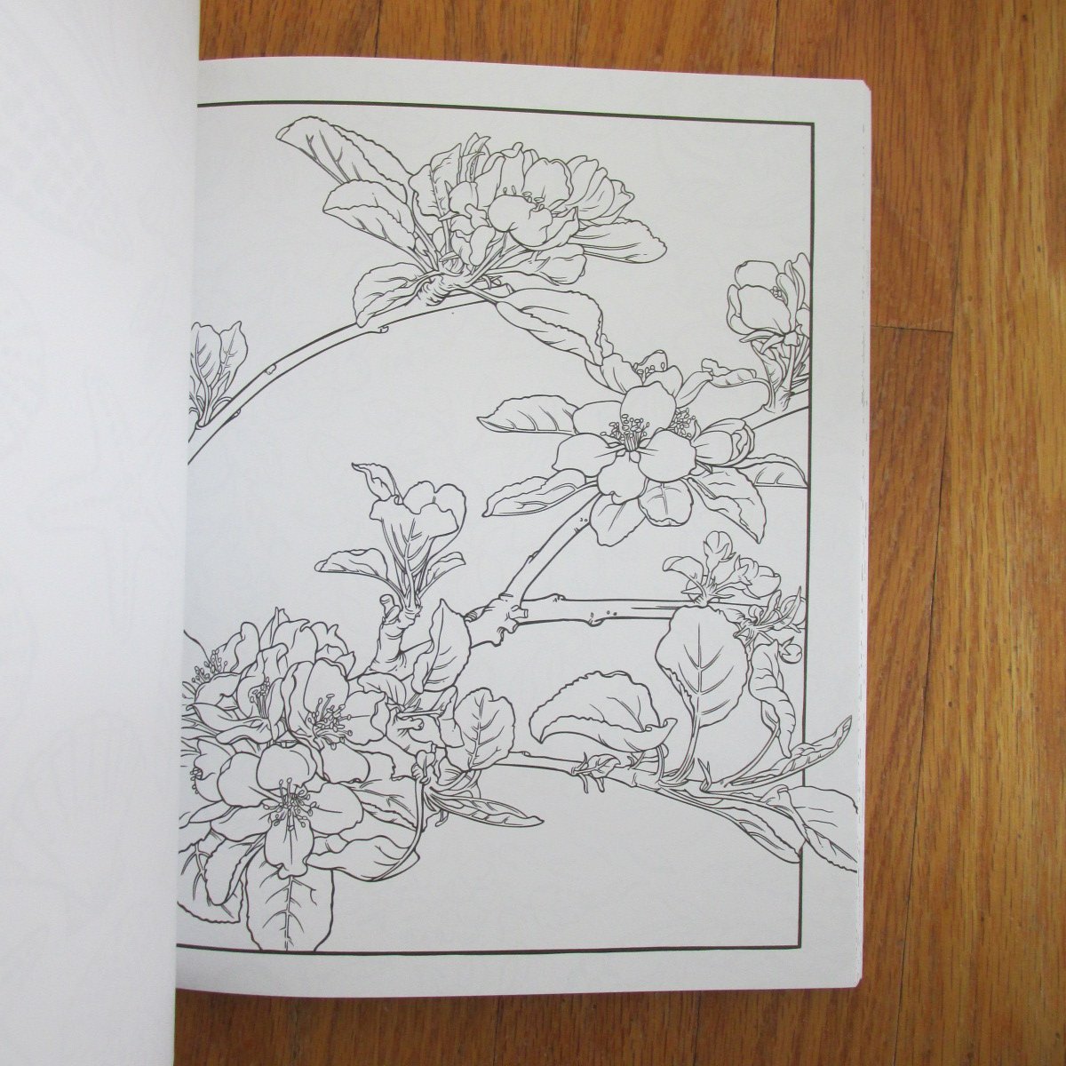 CRAYOLA COLORING BOOK ADULT ELEGANT ESCAPES HALLMARK ARTISTS 80 PAGES NEW