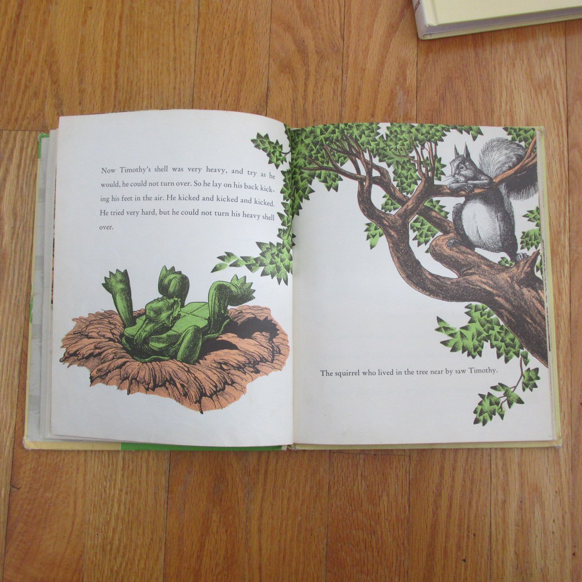 TIMOTHY TURTLE BOOK ALICE DAVIS CADMUS E.M. HALE 1940 HC CLASSIC ...