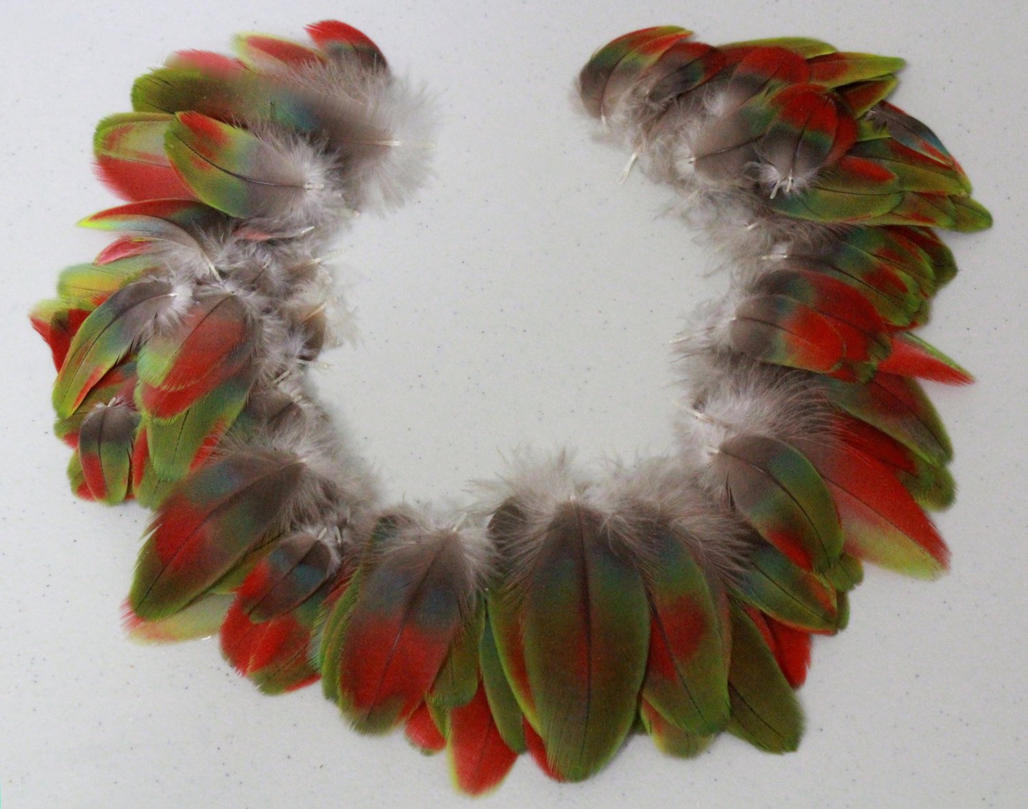 Rainbow Macaw Feathers Parrot Pow Wow Crafts Peyote Kopilli Green Red ...