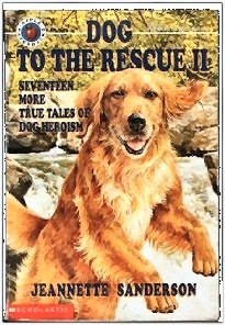 3 Dog Children's Book Lot -Dog to the Rescue + 2 Wishbone Mysteries