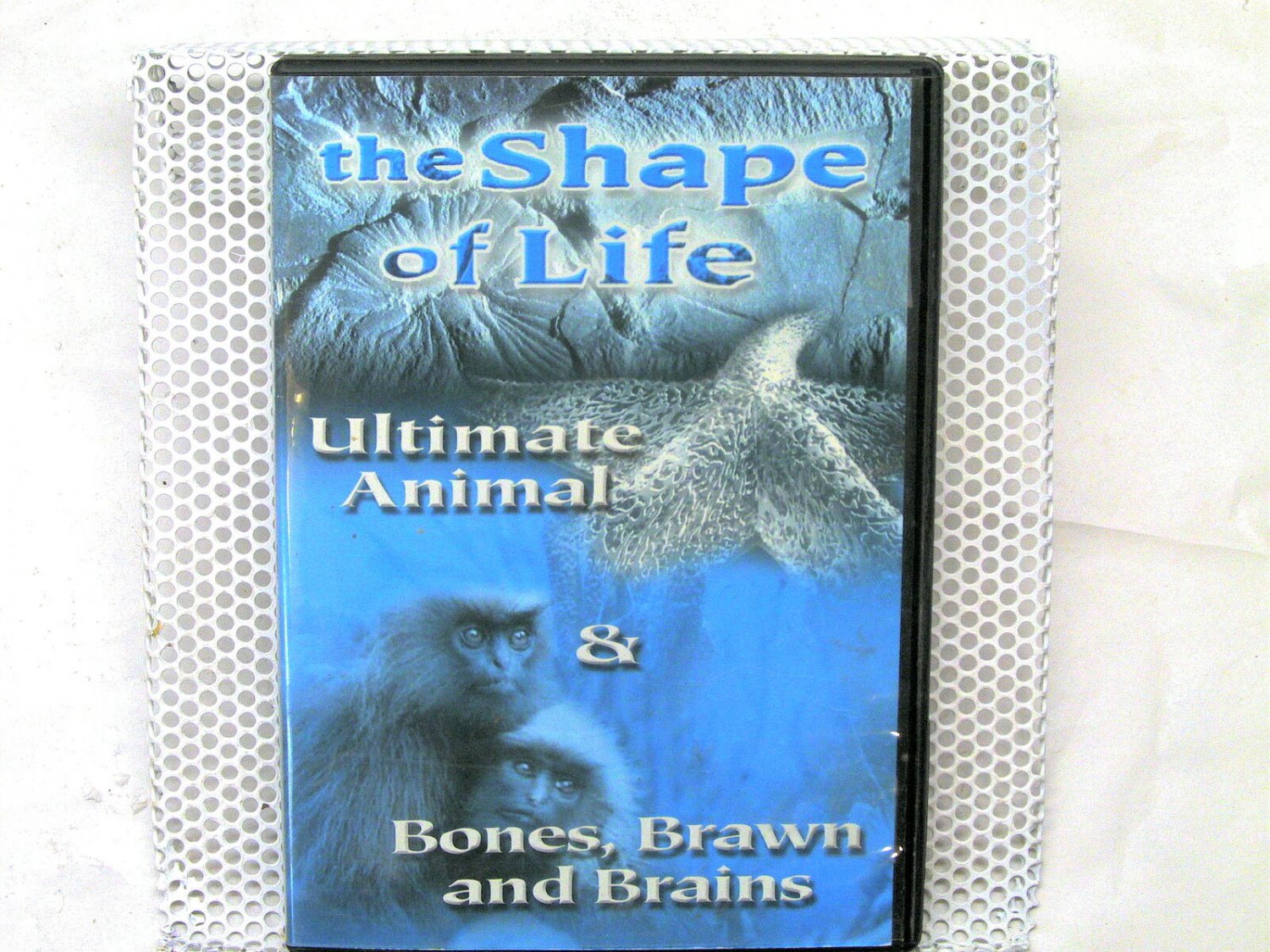 The Shape of Life Ultimate Animal & Bones, Brawn and Brains [DVD]