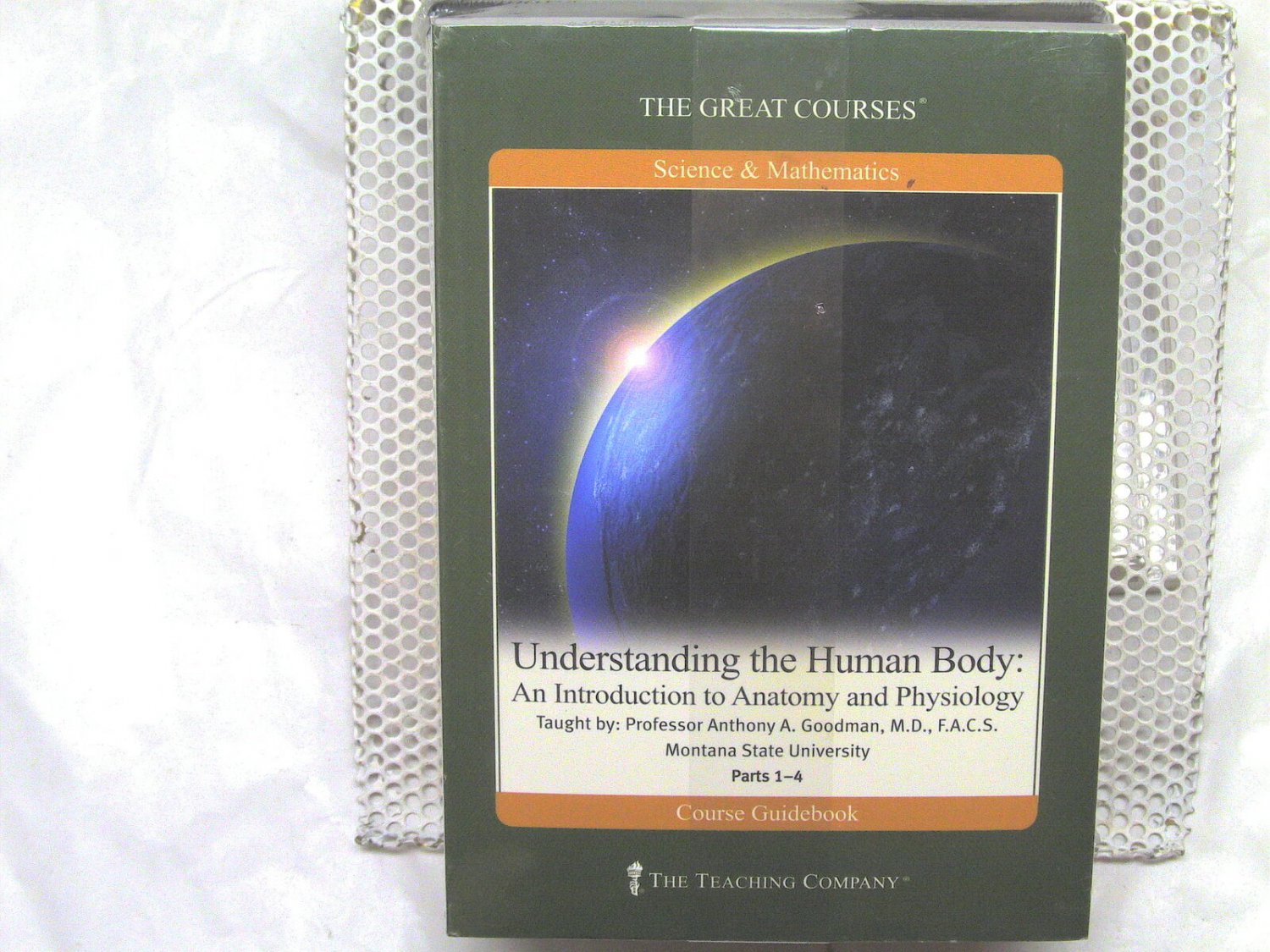 Understanding Human Body An Introduction to Anatomy Physiology Great ...