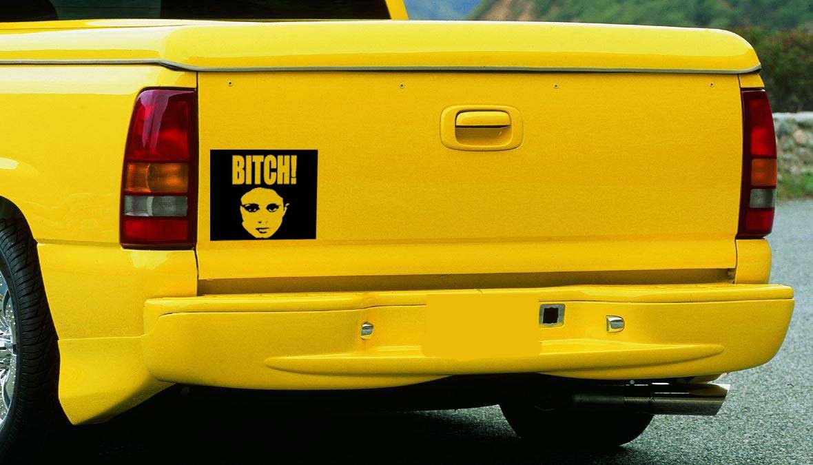 Casey Anthony LIAR Sticker Decal (5 Pk) Variety