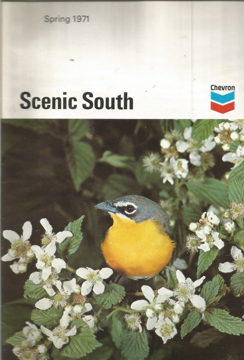 Scenic South- Spring 1971 booklet