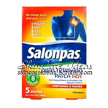 Salonpas Pain Relieving Patch Hot (5 plasters)