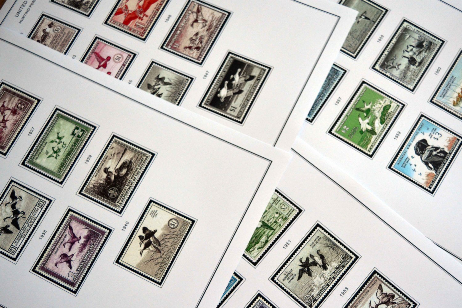 COLOR PRINTED USA FEDERAL DUCK STAMPS 1934-2020 STAMP ALBUM PAGES (46 ...