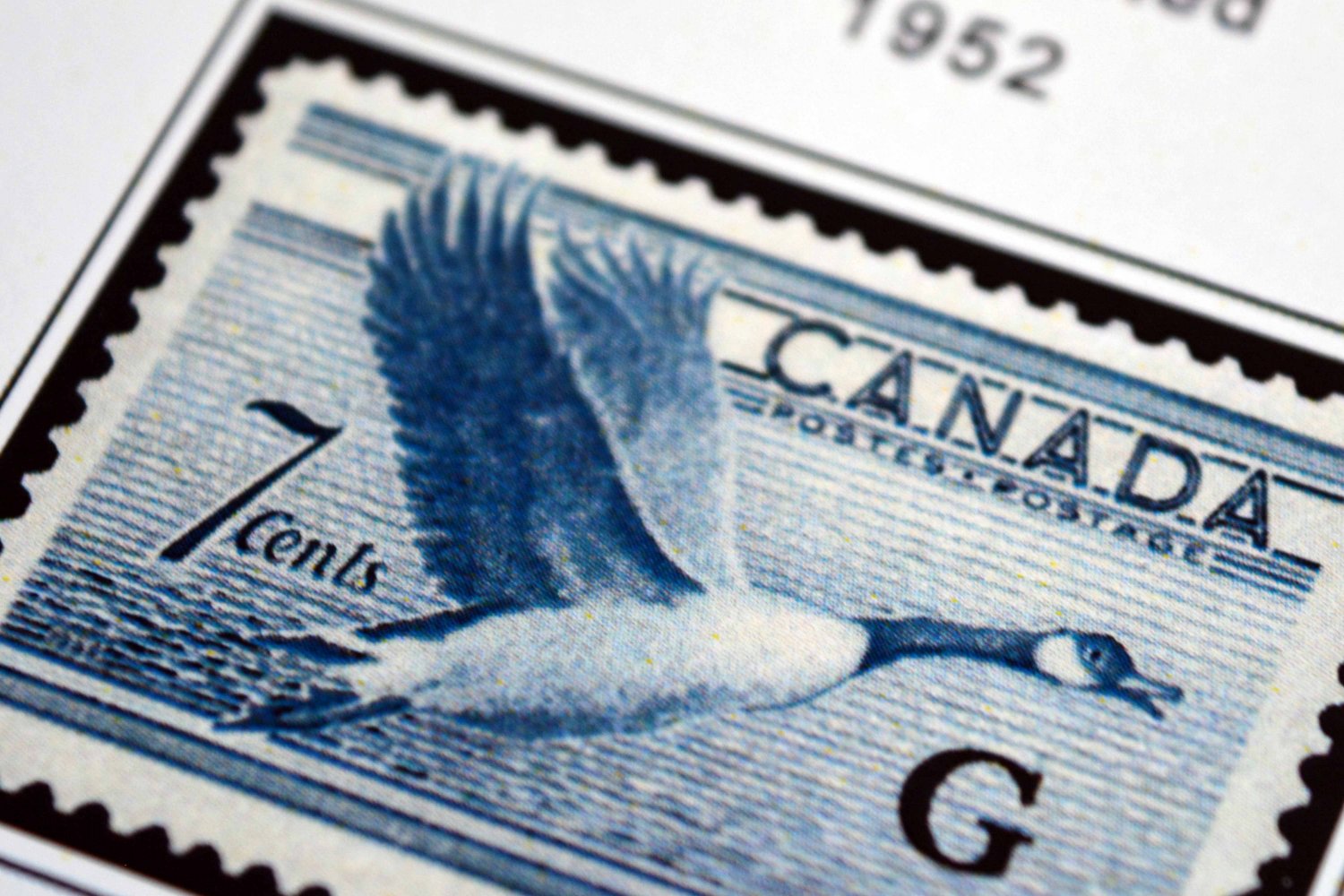COLOR PRINTED CANADA [CLASS.] 1851-1955 STAMP ALBUM PAGES (37 ...