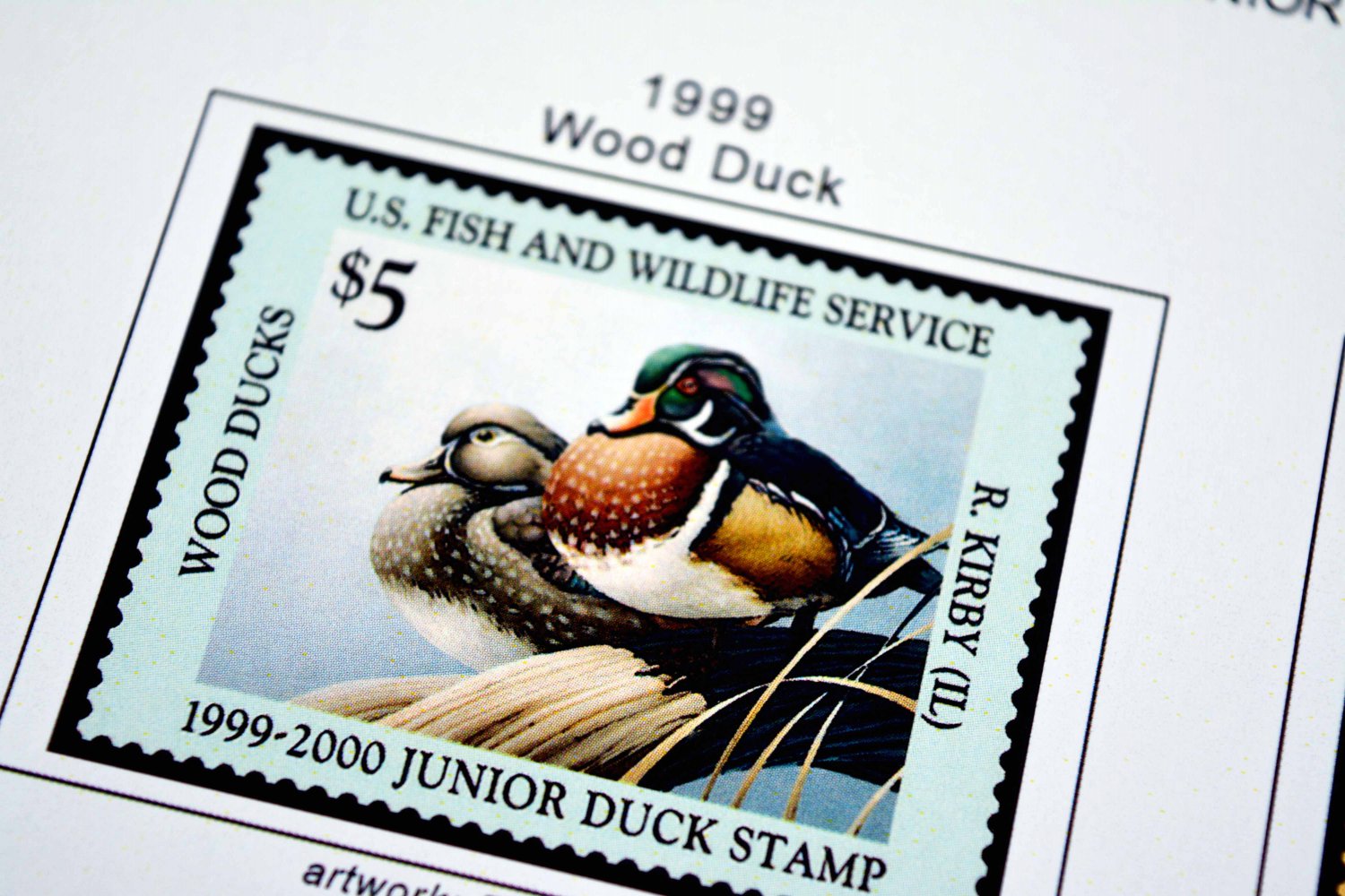 COLOR PRINTED US JUNIOR DUCK STAMPS 1992-2020 STAMP ALBUM PAGES (21 ...