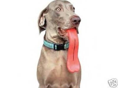 Humunga Tongue Humorous Rubber Pet Dog Toy Fetch Ball Large