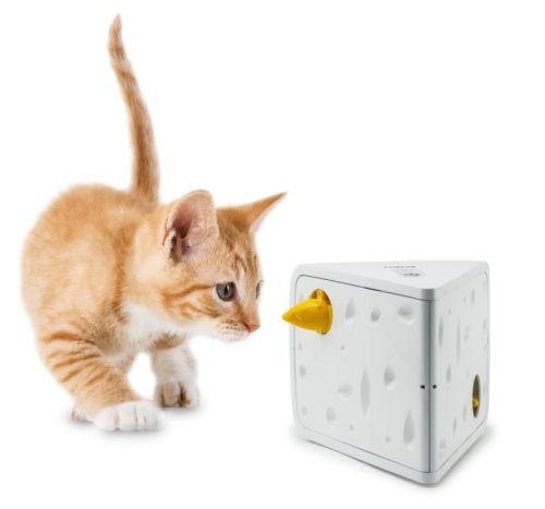 PetSafe® Cheese Cat Toy Interactive Hide and Seek Mouse Hands Free ...