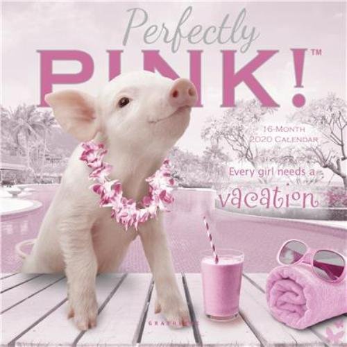 Perfectly Pink! Adorable Pig Mini 2020 Calendar Supporting Susan G Komen