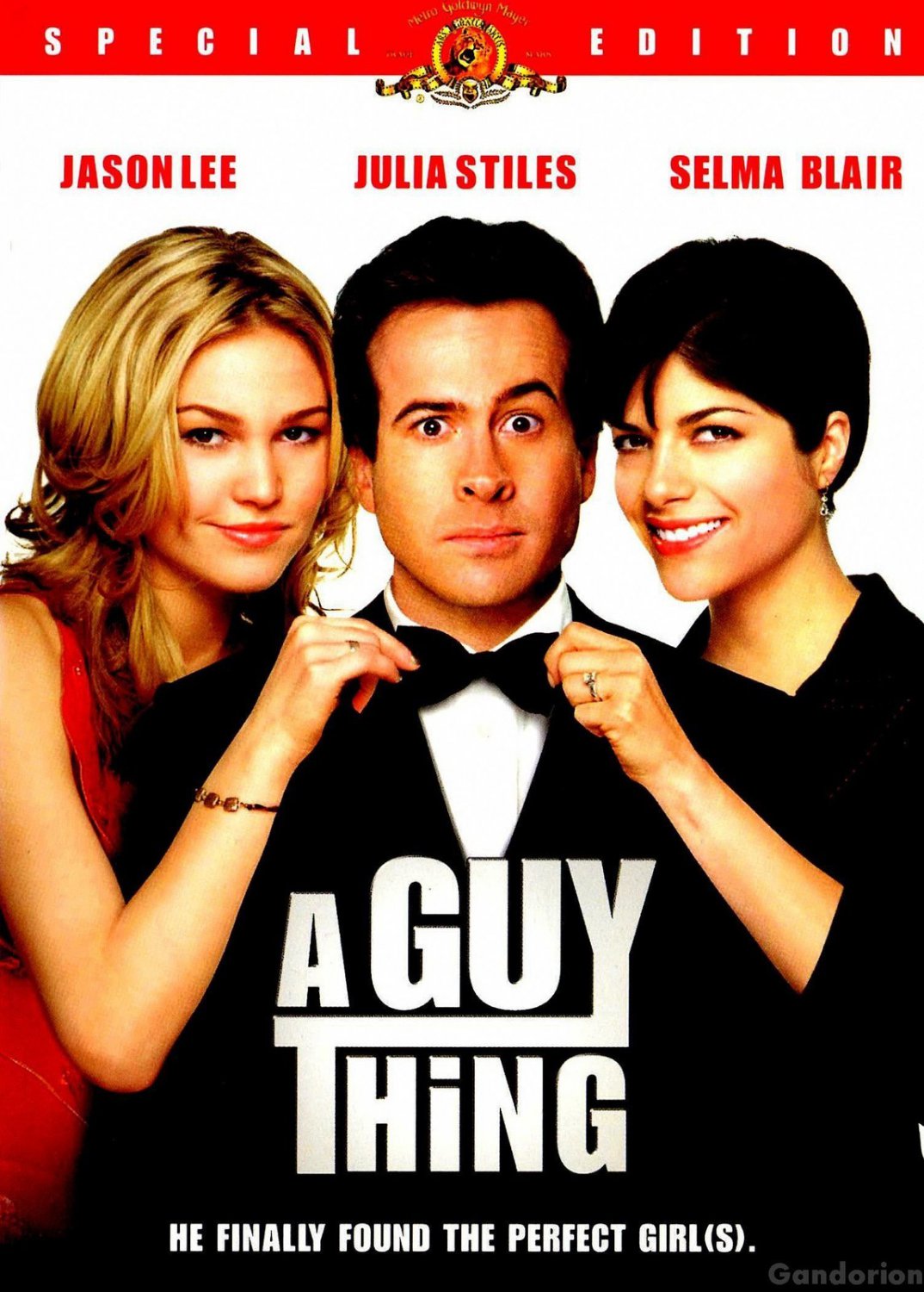 A Guy Thing (DvD) starring Julia Stiles, Jason Lee, Selma Blair