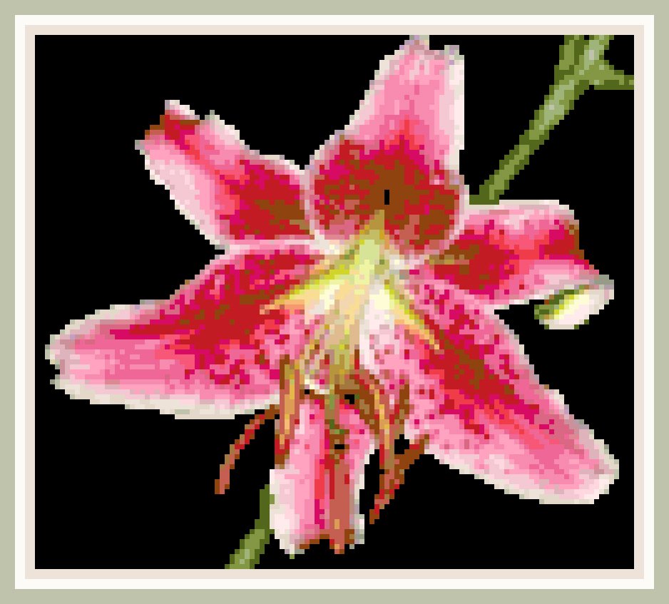 Stargazer Lily Pattern Chart Graph