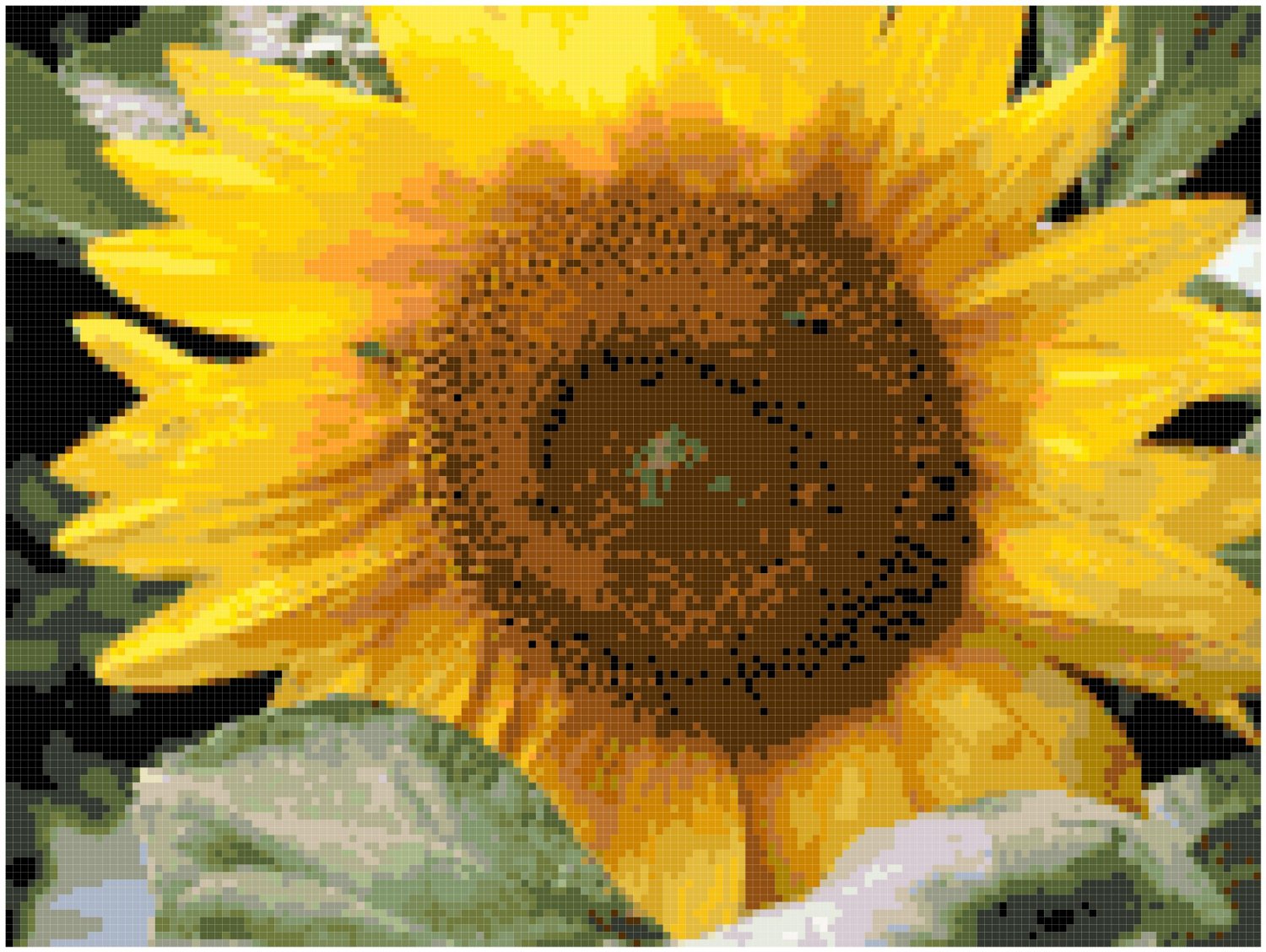 Cheerful Sunflower Pattern Chart Graph