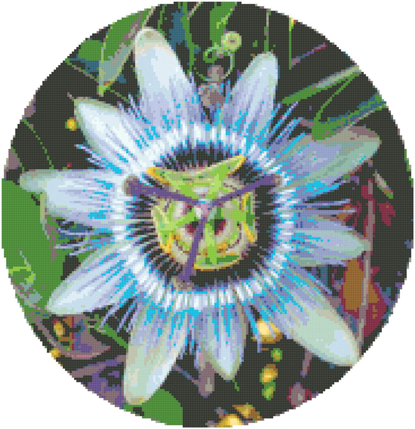 The Passion Flower Pattern Chart Graph