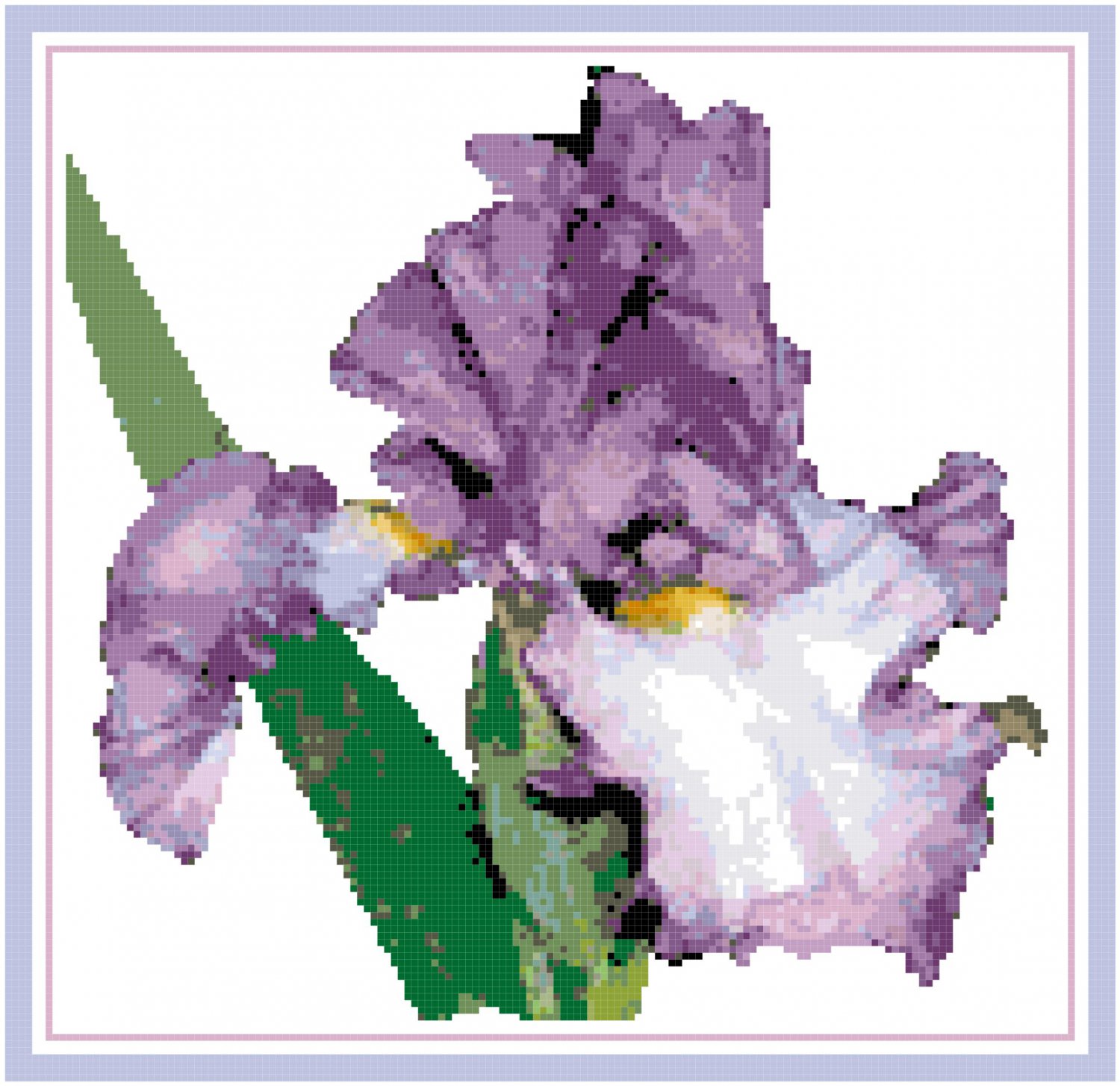 Royal Purple Iris Pattern Chart Graph