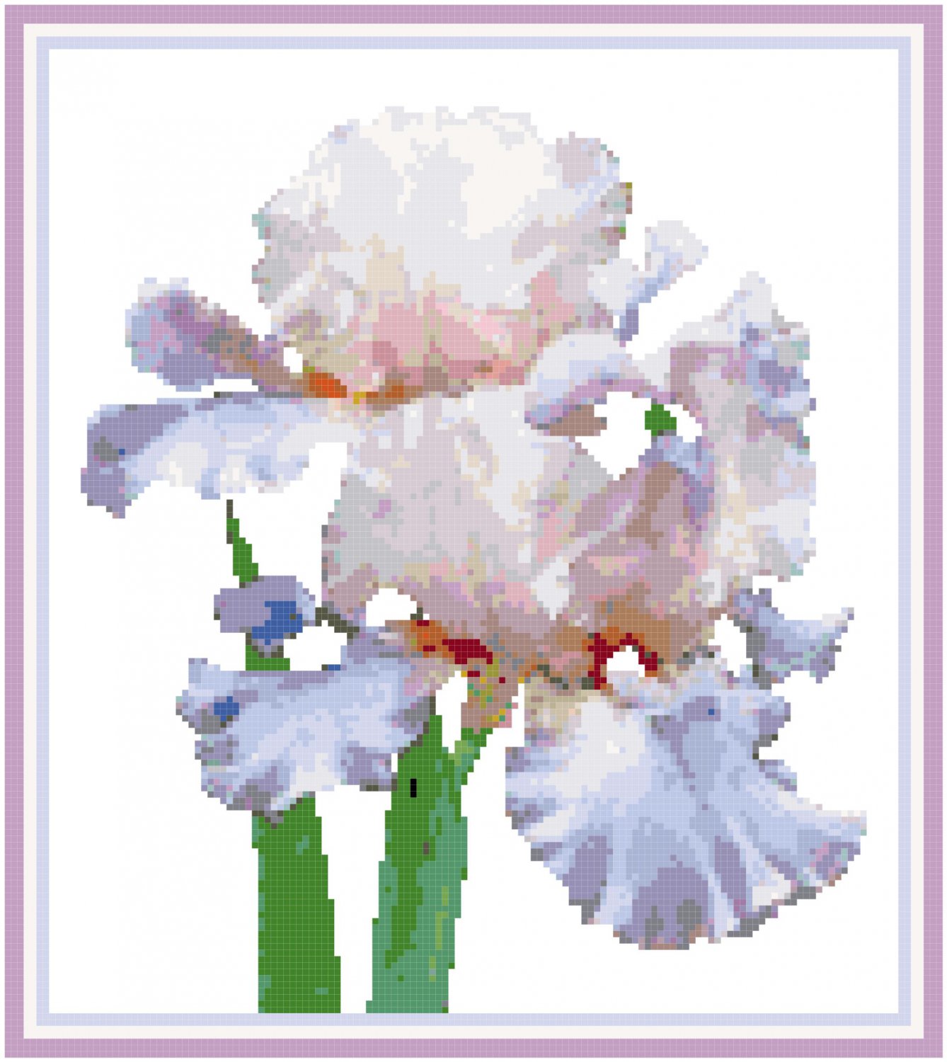 Bi-Color Iris Pattern Chart Graph