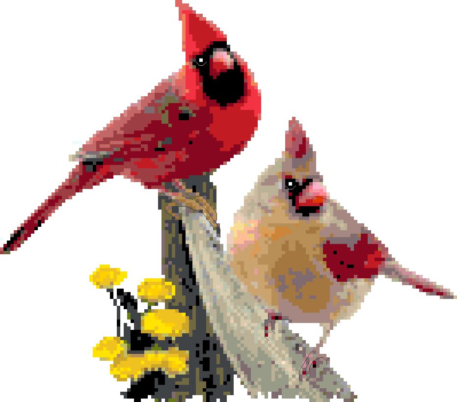 Cardinal Pair Pattern Chart Graph