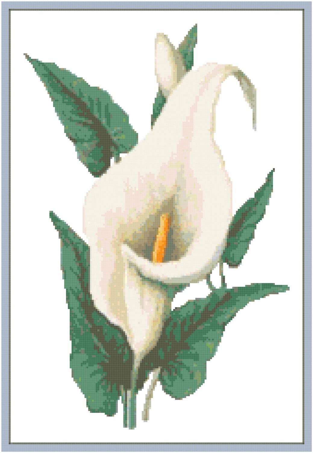 Calla Lily Pattern Chart Graph