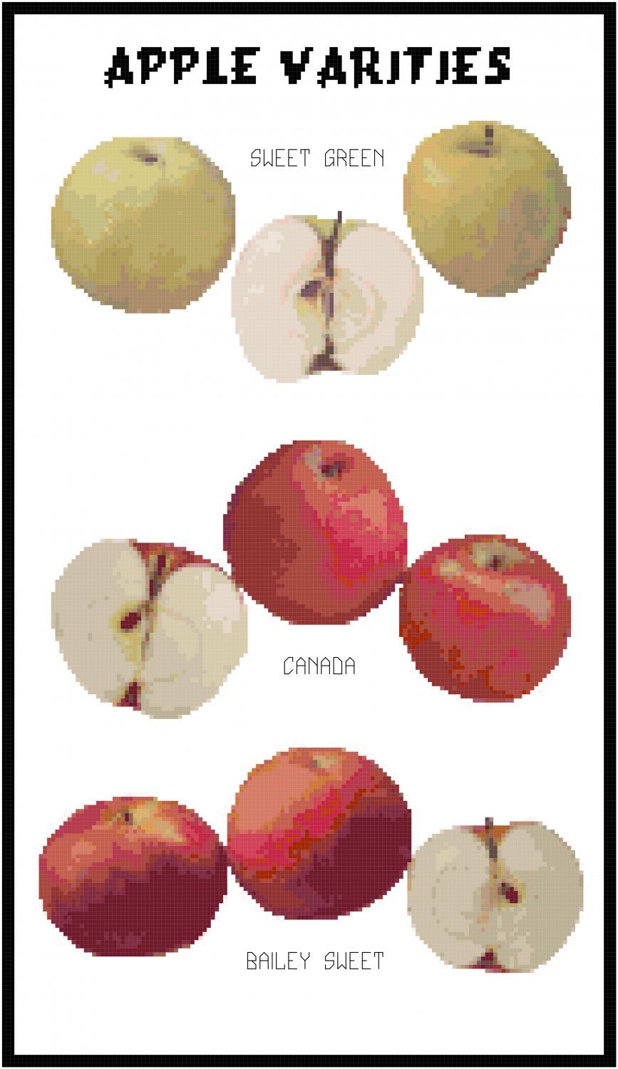 Apple Varieties Pattern Chart Graph