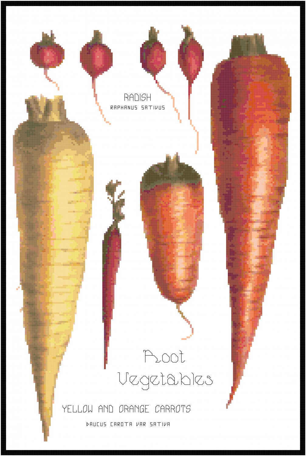 Root Vegetables Pattern Chart Graph