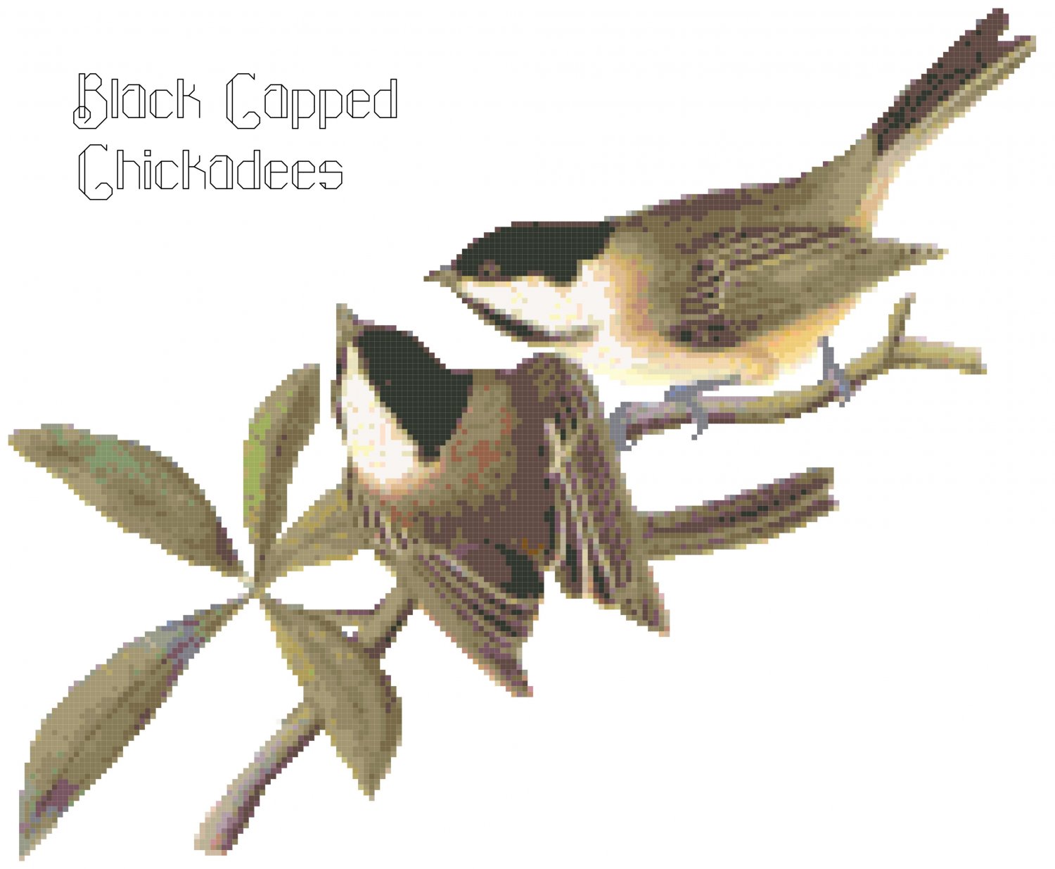 Audubon Black Capped Chickadees Pattern Chart Graph