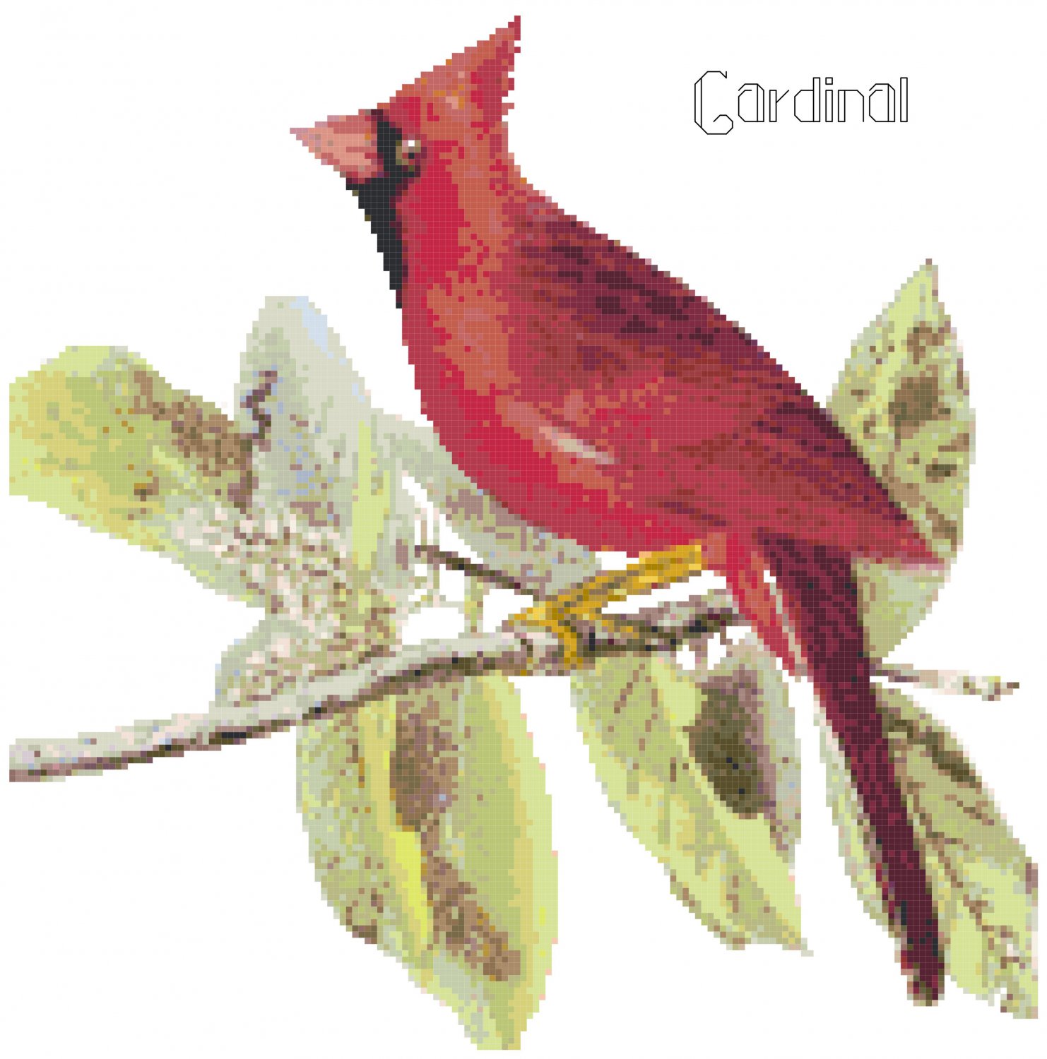 Audubon Cardinal Pattern Chart Graph