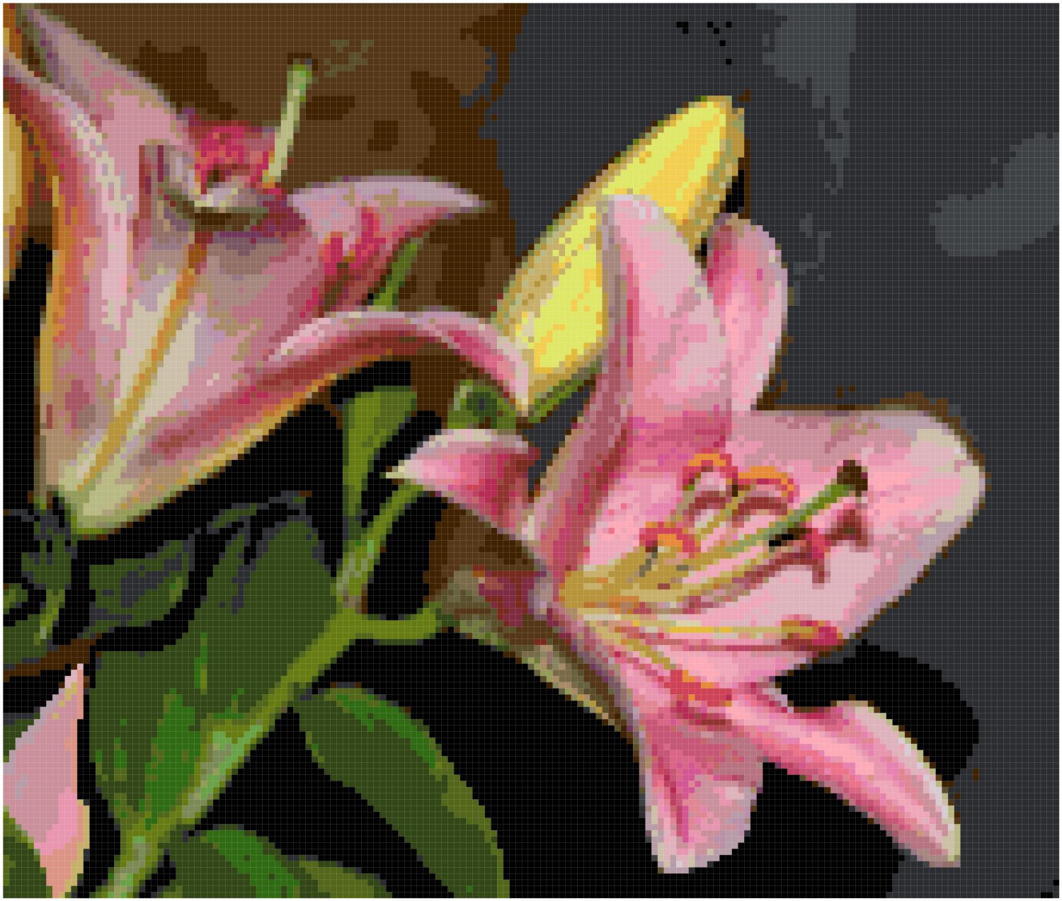 Asiatic Lily Pattern Chart Graph