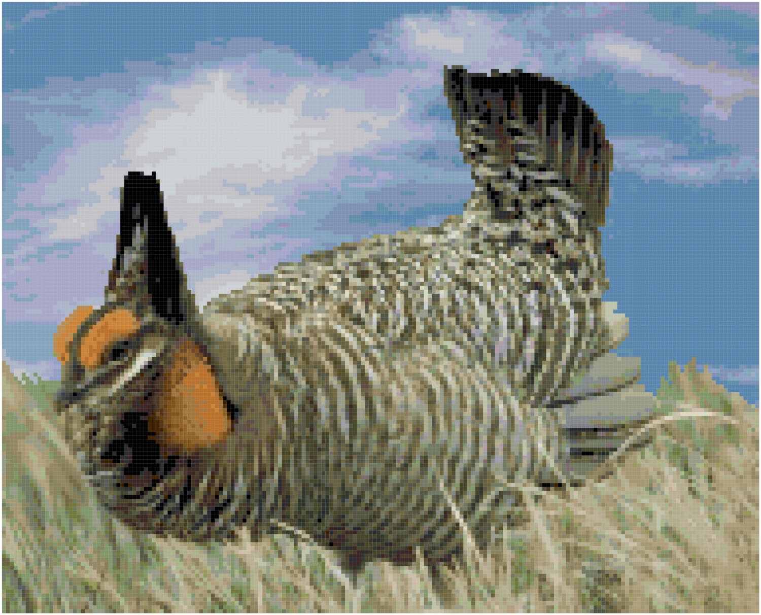 Prairie Chicken Pattern Chart Graph
