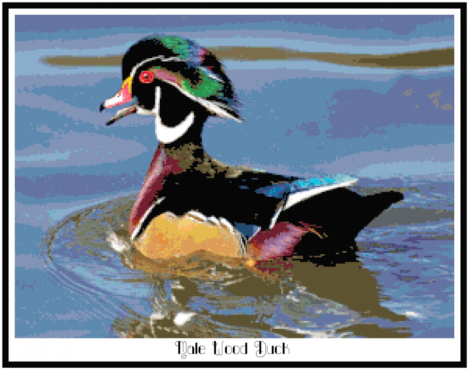 Male Wood Duck Pattern Chart Graph