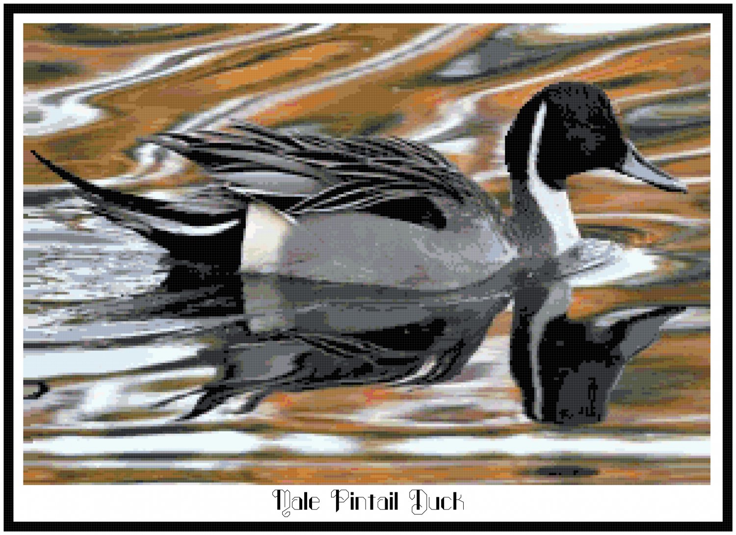 Male Pintail Duck Pattern Chart Graph