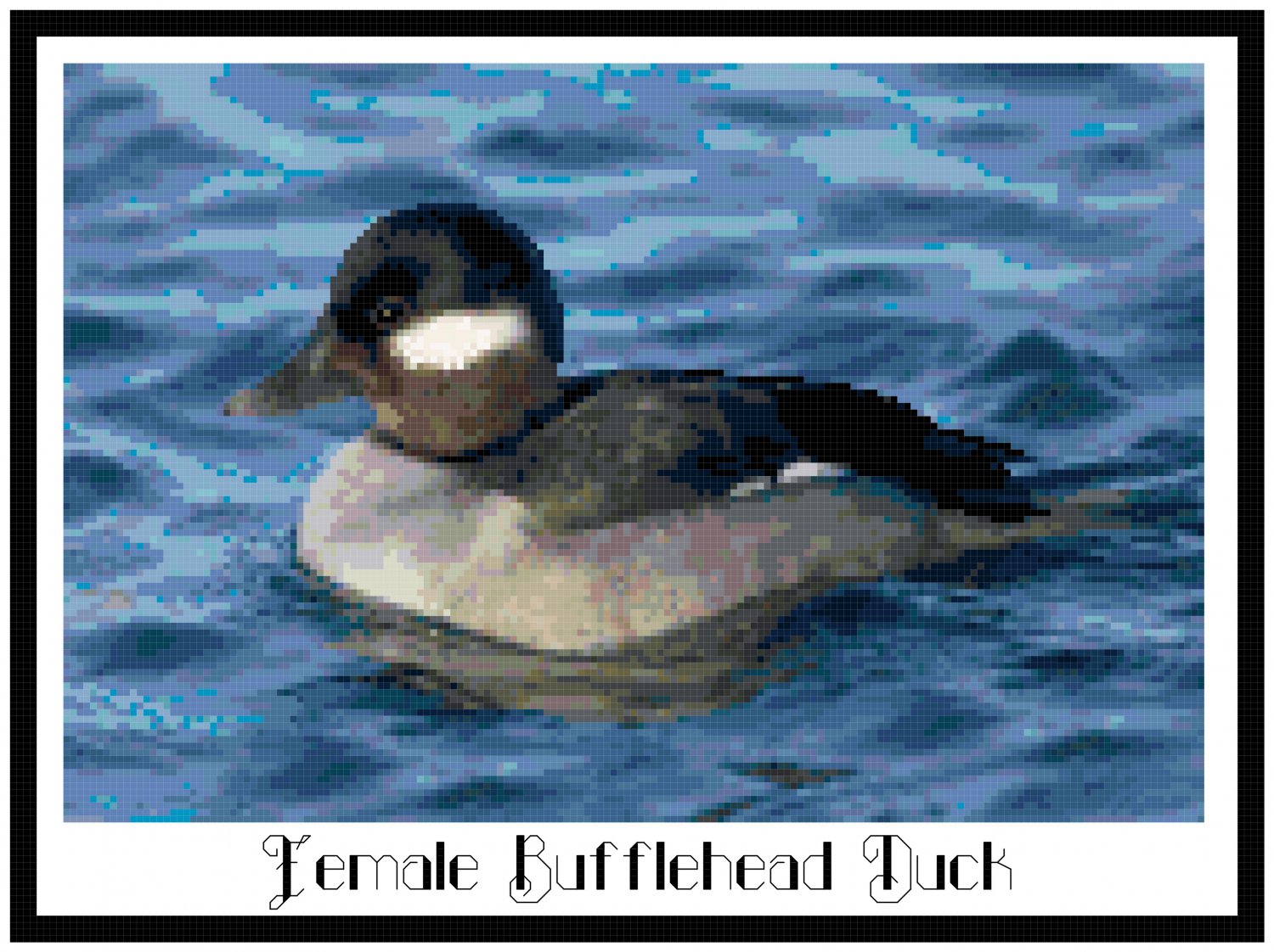 Female Bufflehead Duck Pattern Chart Graph