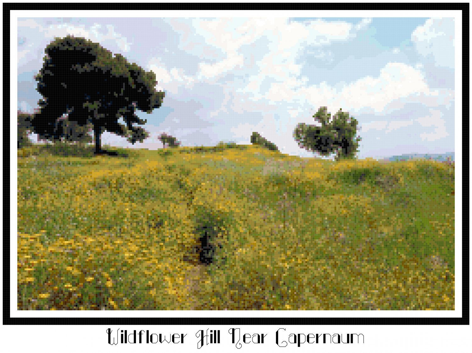 Wildflower Hill Near Capernaum Pattern Chart Graph