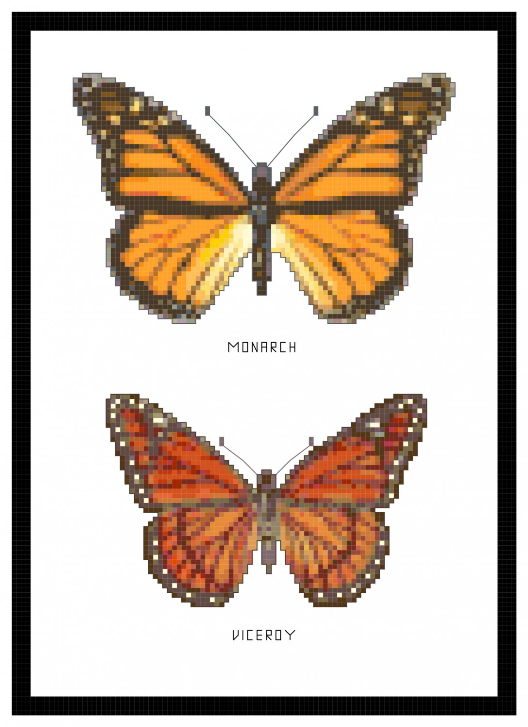 Monarch and Viceroy Butterflies Pattern Chart Graph