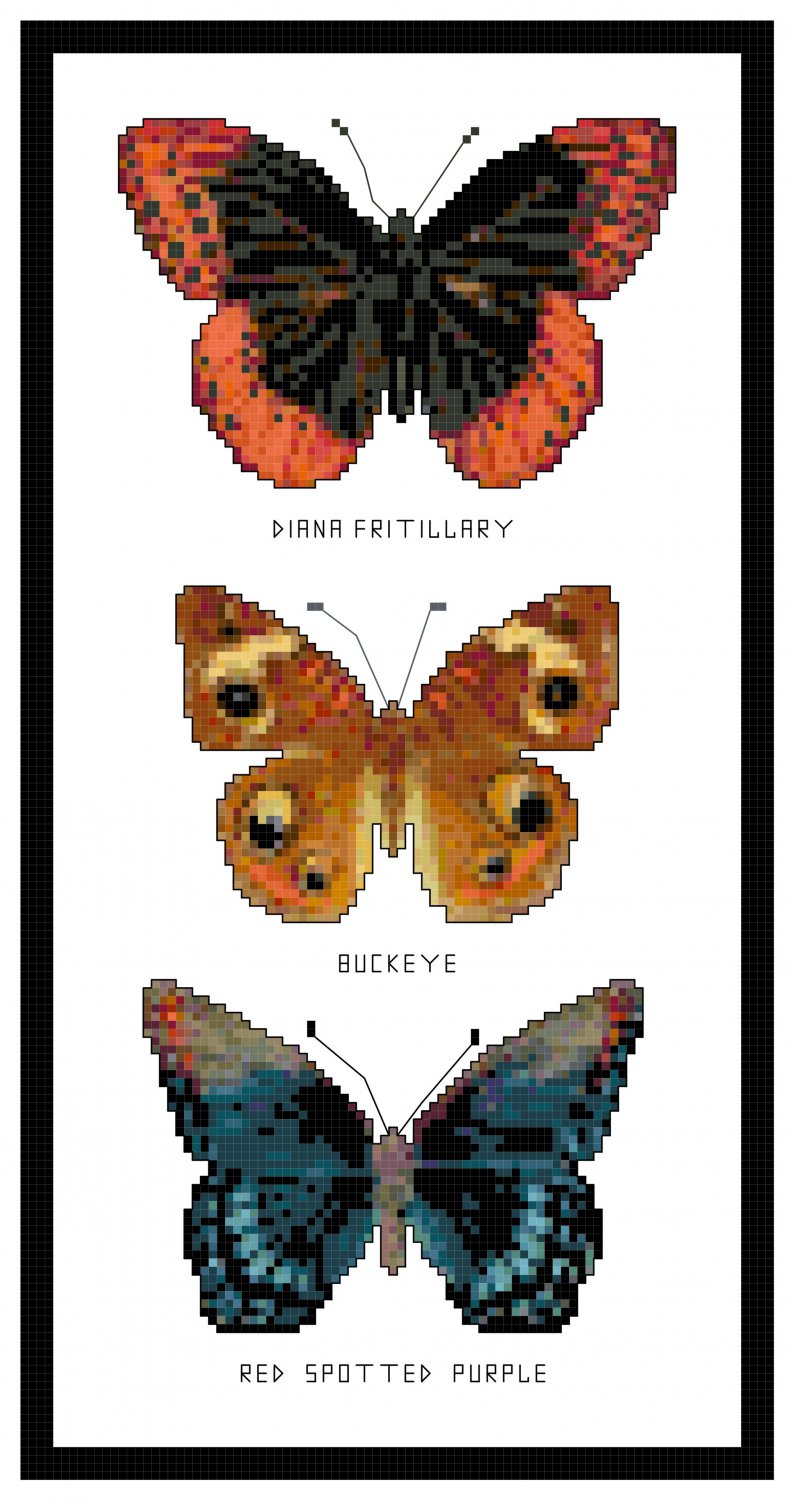 Diana, Buckeye and Red Spotted Purple Butterflies Pattern Chart Graph
