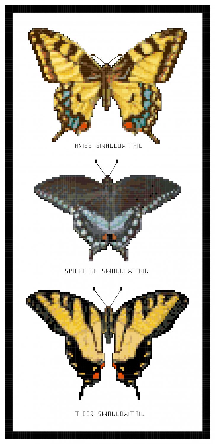 Swallowtail Butterflies Pattern Chart Graph