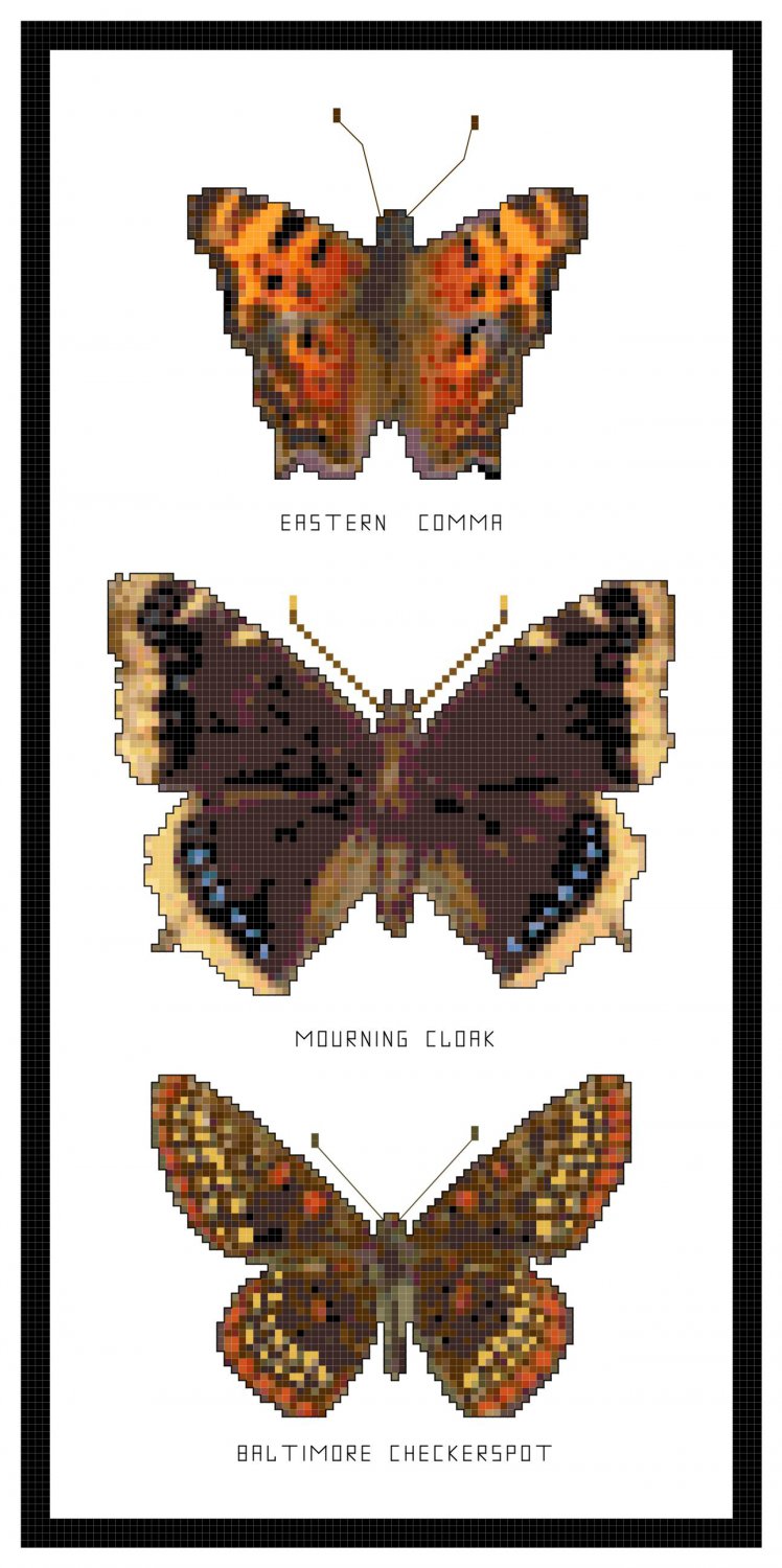 Eastern Comma, Mourning Cloak and Checkerspot Butterflies Pattern Chart ...