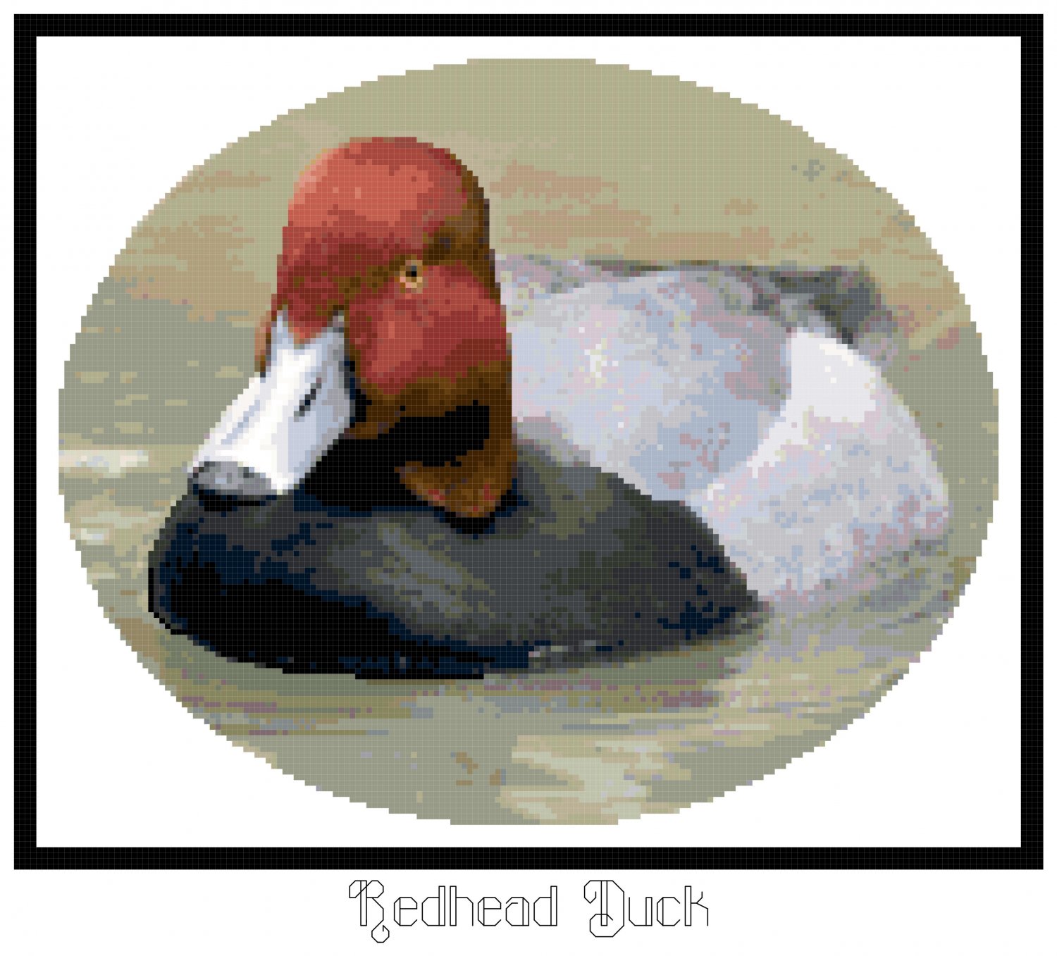 Redhead Duck Pattern Chart Graph