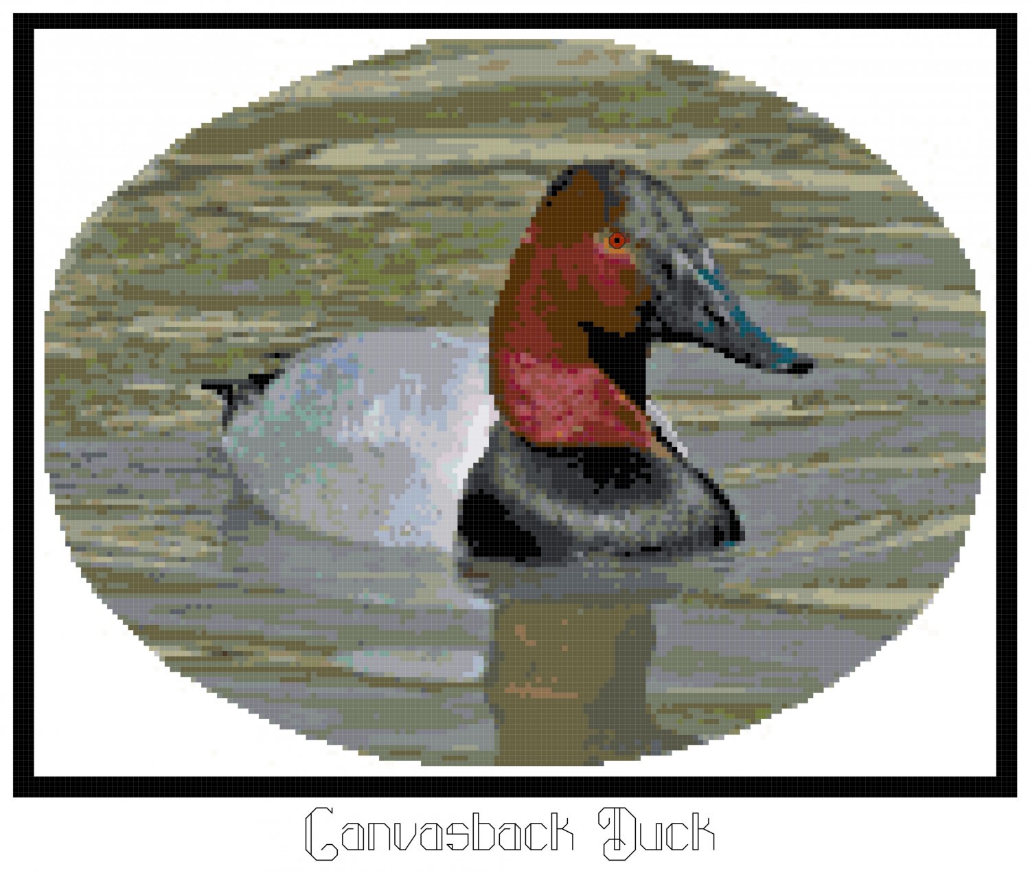 Canvasback Duck Pattern Chart Graph
