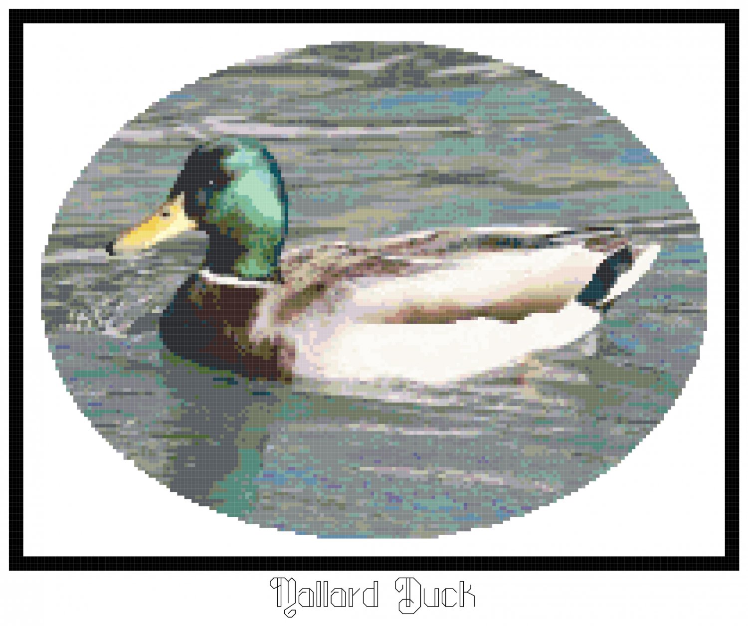 Mallard Duck Pattern Chart Graph