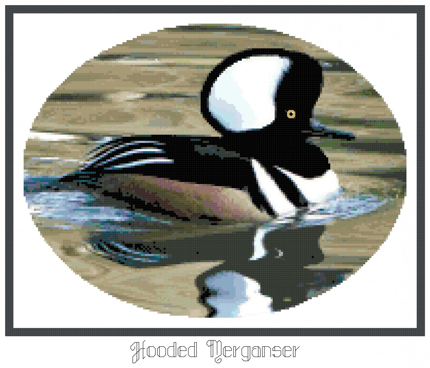 Hooded Merganser Duck Pattern Chart Graph