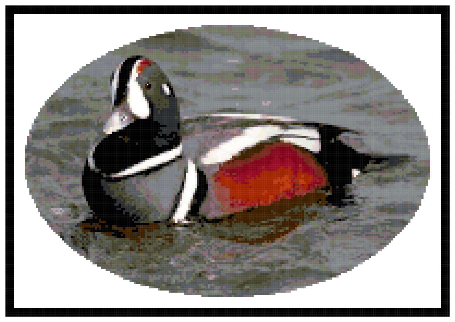 Harlequin Duck Pattern Chart Graph